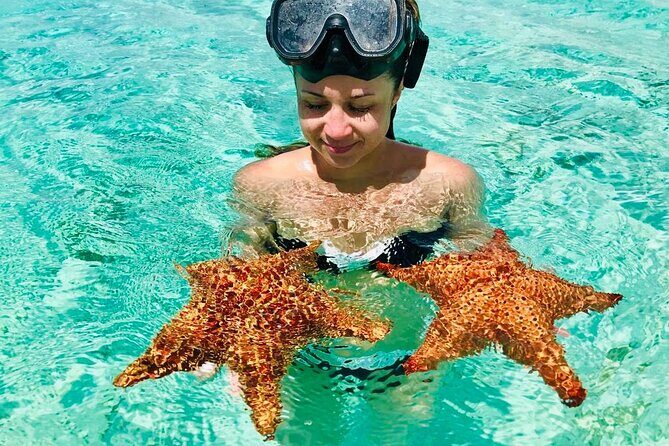 PRIVATE VIP tour Saona Island with Snorkeling, Starfish, Turtles - Who Will Love This Tour?