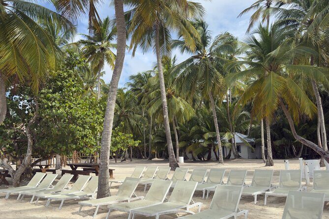 PRIVATE VIP tour Saona Island with Snorkeling, Starfish, Turtles - FAQs