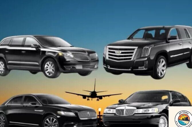 Private & VIP Transfer from puntacana AirPort to Bayahibe/romana - Why This Transfer Fits Different Travelers