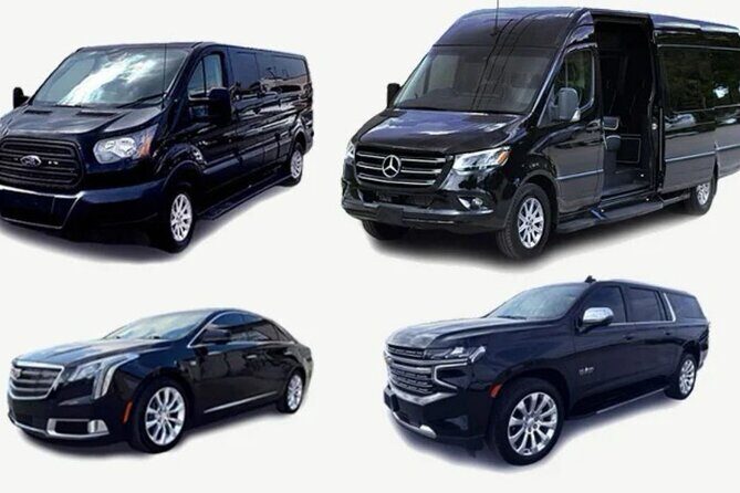 Private & VIP transfers from Puntacana airport to Bayahibe/romana - Summarizing the Experience