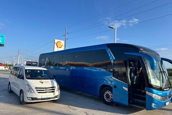 Private VIP Transportation in Punta Cana - Key Points