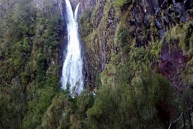 Private VipTours up to 4pax/8pax/19pax - Discover Madeira Your Way: An In-Depth Look at the Private VipTour Experience