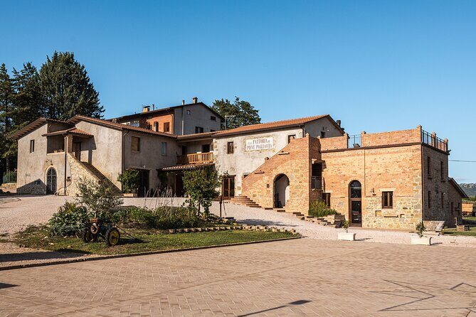 Private visit to the Brugnoni winery with tasting of 4 wines - The Value Proposition: Is It Worth It?