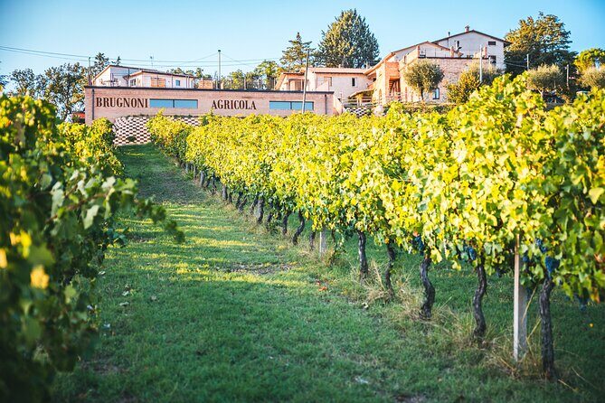 Private visit to the Brugnoni winery with tasting of 4 wines - FAQs about the Brugnoni Winery Tour