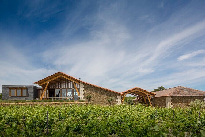 Private visit with wine tasting in Alijó Douro - Summary
