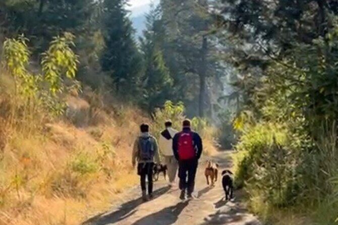 Private Volcano Tour from Mexico City: Ziplining & Scenic Views - FAQ