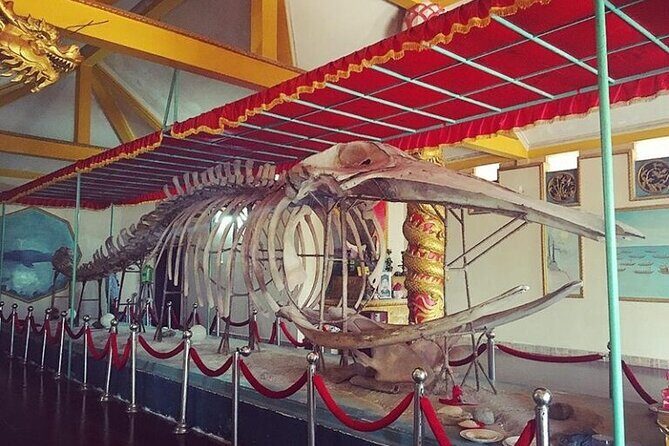 Private Vung Tau Adventure Beach and City Highlights - Final Thoughts