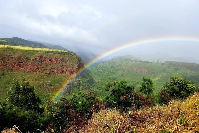 Private Waimea Canyon Tour - The Experience You Can Expect