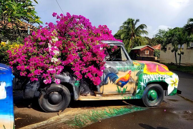 Private Waimea Canyon Tour - Final Thoughts