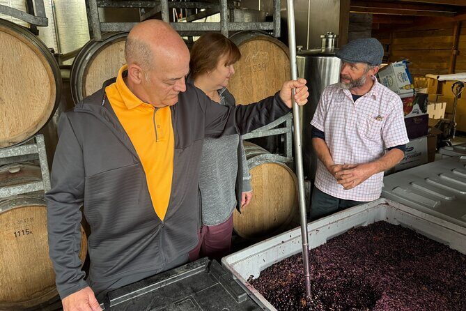 Private Wairarapa Wine Delights Tour from Wellington - The Sum Up: Who Is This Tour Best For?