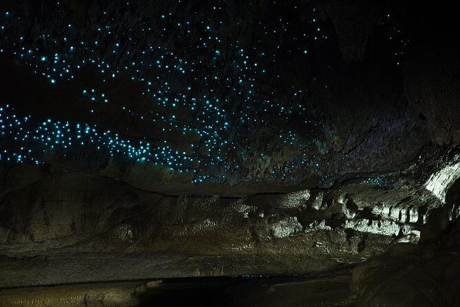 Private Waitomo Caves Tour - Auckland Tour House - A Practical Look at the Private Waitomo Caves Tour - Auckland Tour House