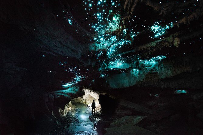 Private Waitomo Glowworm Cave Tours - A Closer Look at the Experience