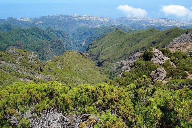 Private Walk Achadas Teixeira - Pico Ruivo Half-day - The Itinerary: What to Expect