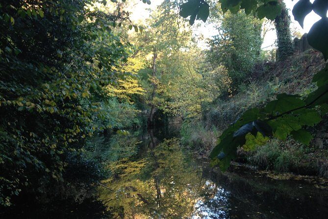 Private Walk: Country in the City - Key Points