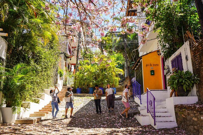 Private Walk getting to know the Center of Puerto Vallarta - Who Should Consider This Tour?