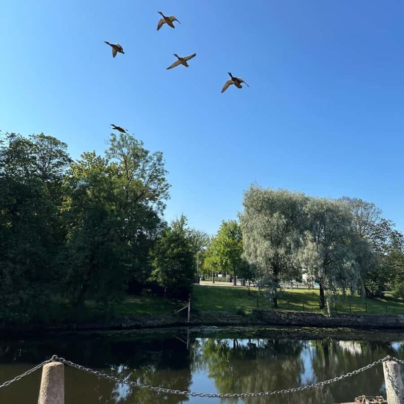 Private Walking Tour Gothenburg: Old Town & Åsa Coastline - Detailed Breakdown of the Itinerary