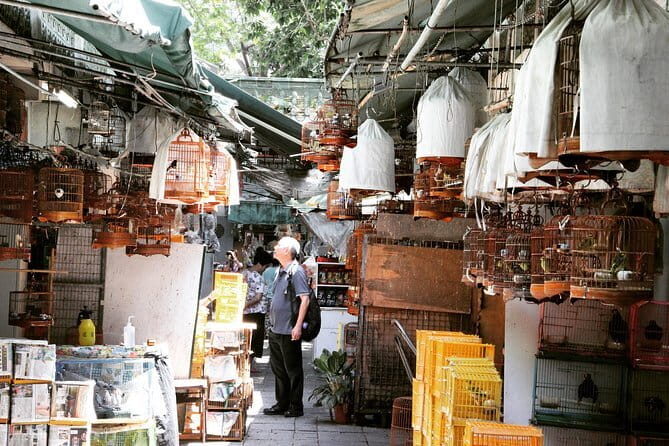 Private Walking Tour: Hong Kong Local Markets Hopper - Exploring the Hong Kong Local Markets Hopper: A Practical and Authentic Tour