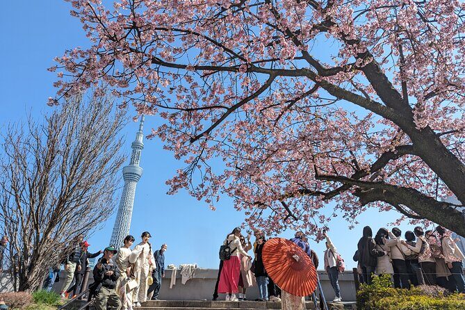 Private Walking Tour in Asakusa with Guide - FAQ