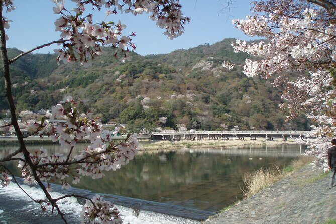 Private Walking Tour in Bamboo Forest & Hidden Spots in Arashiyama - The Itinerary in Detail: What You Can Expect