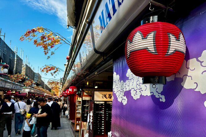 Private Walking Tour in historical Tokyo - Ueno, Asakusa, Emperor - Who Will Love This Tour?