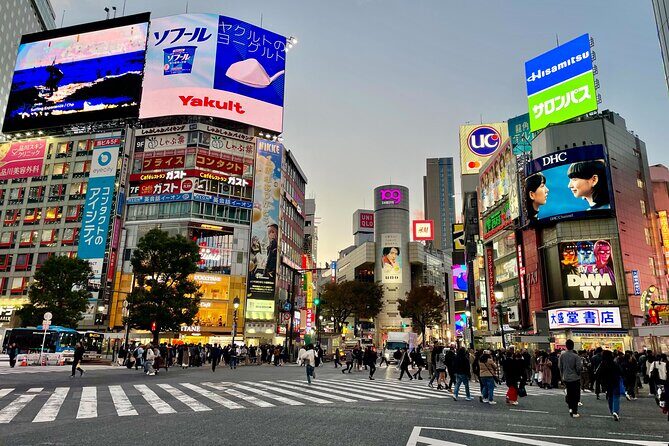 Private Walking Tour in Tokyo - Perfect for First-Time Visitors - An Honest Deep Dive into the Tour