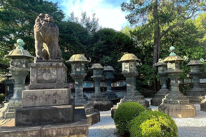 Private walking Tour in Tokyo with a Local Guide - What Makes This Tour Valuable?