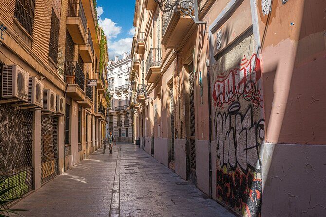 Private Walking Tour in Valencia with Guide - A Closer Look at the Tour
