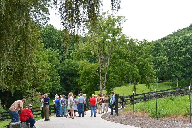 Private Walking Tour of a Real Working Cattle Ranch - The Value You Get for Your Money