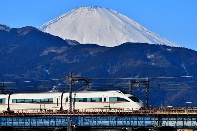 Private Walking Tour of Hakone. Price per group - A detailed look at the Hakone Private Tour