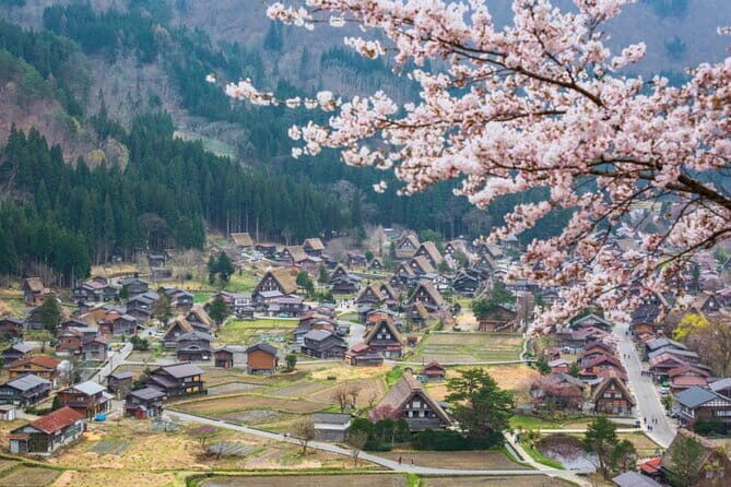 Private Walking Tour of Kanazawa's Crafts and local culture - The Highlight: Higashi Chaya District and Gold Leaf Masterpieces