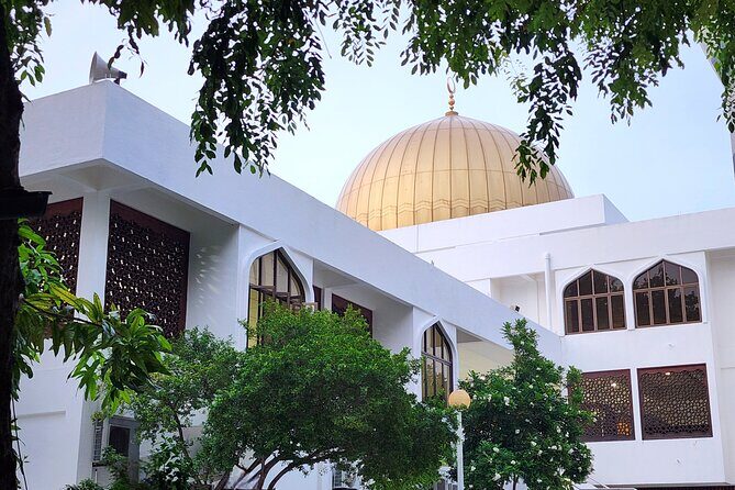 Private Walking Tour of Malé - The Sum Up: Who Should Consider It?