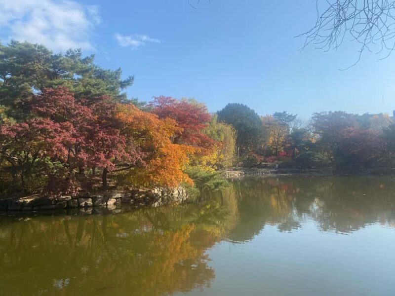 Private walking tour of Seoul: Past and present - What Reviewers Say