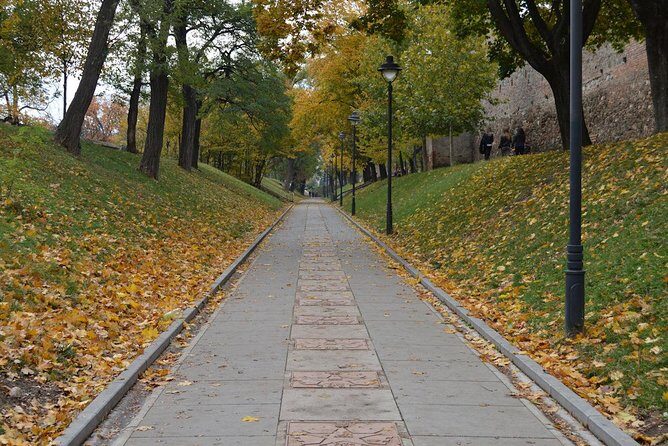 Private Walking Tour of Sibiu - Who Should Consider This Tour?