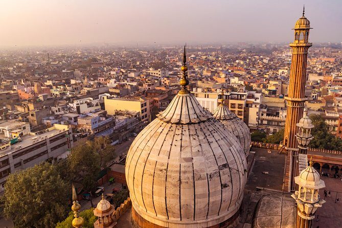 Private Walking Tour: Old Delhi including Ancient Havelis and Chandni Chowk - A Detailed Look at the Tour