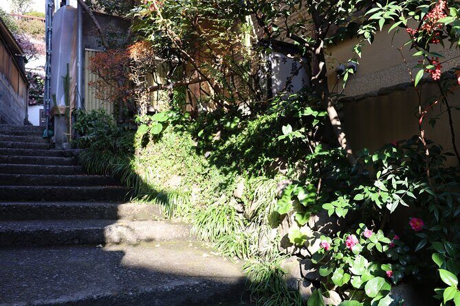 Private Walking Tour: The Little Kyoto of Tokyo, Kagurazaka - Who Will Love This Tour?