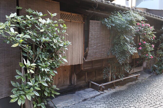 Private Walking Tour: The Little Kyoto of Tokyo, Kagurazaka - The Sum Up