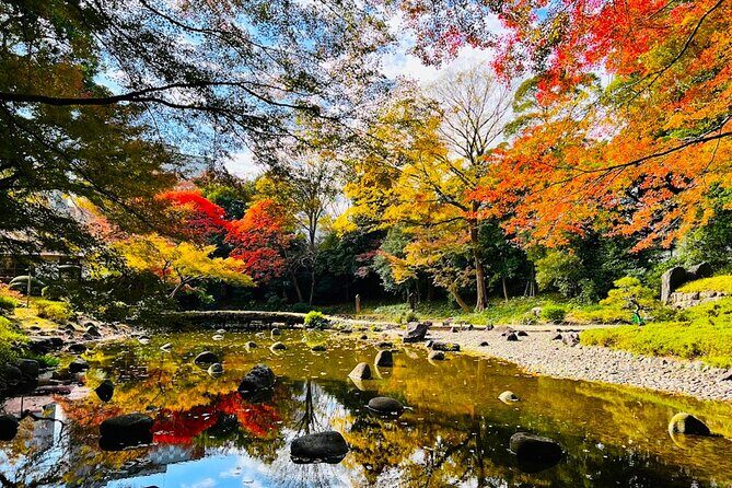 Private Walking Tour to explore Tokyo based on your interests - Deep Dive Into the Itinerary