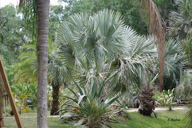 Private Walking Tour to St. John's Botanical Garden - Introduction: Why This Tour Might Be Just What You’re Looking For