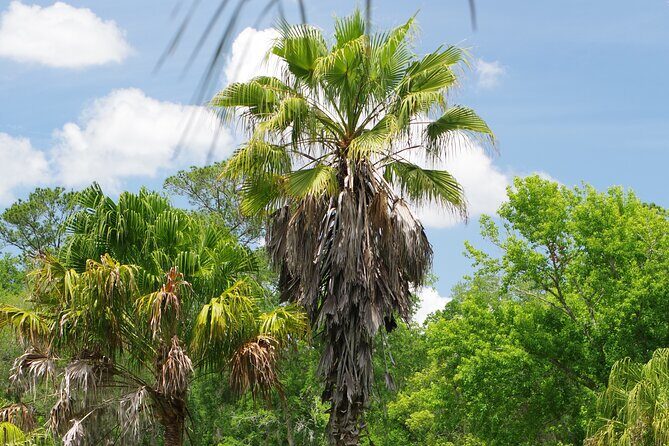 Private Walking Tour to St. John's Botanical Garden - Value and Practical Considerations