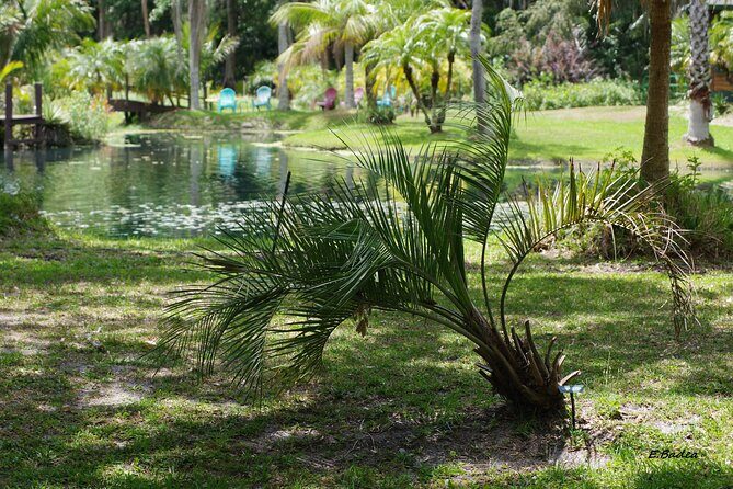 Private Walking Tour to St. John's Botanical Garden - Final Thoughts: Is This Tour Right for You?