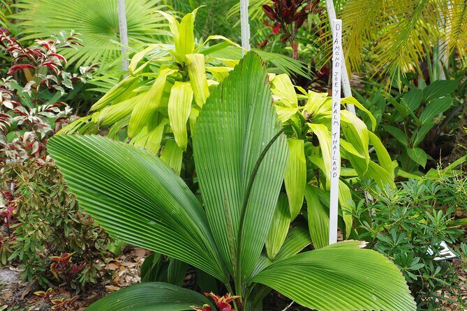 Private Walking Tour to St. John's Botanical Garden - FAQs
