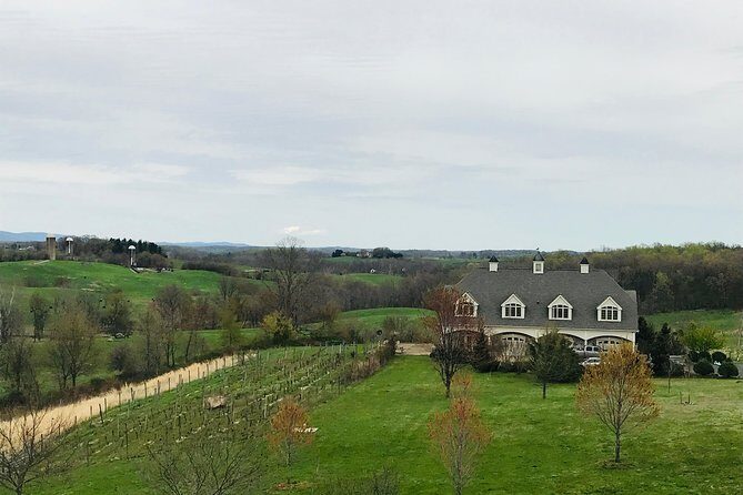 Private Washington DC Virginia Winery Wine Tasting Tour -Spirited - An In-Depth Review of the Washington DC Virginia Winery Tour