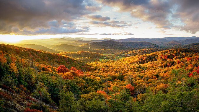 Private Waterfall and Blue Ridge Parkway Tour with a Naturalist - An In-Depth Look at the Experience