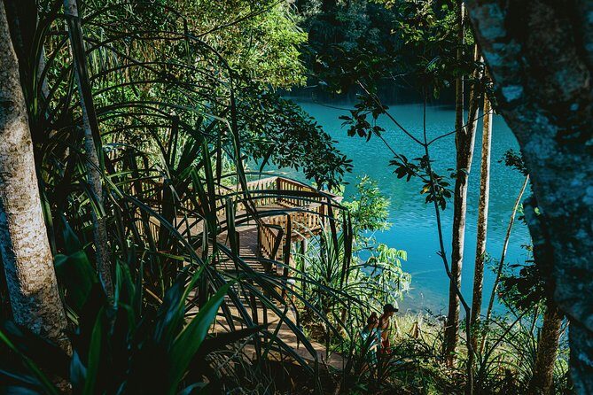 Private Waterfall and Rainforest Day Tour - Who Will Love This Tour?