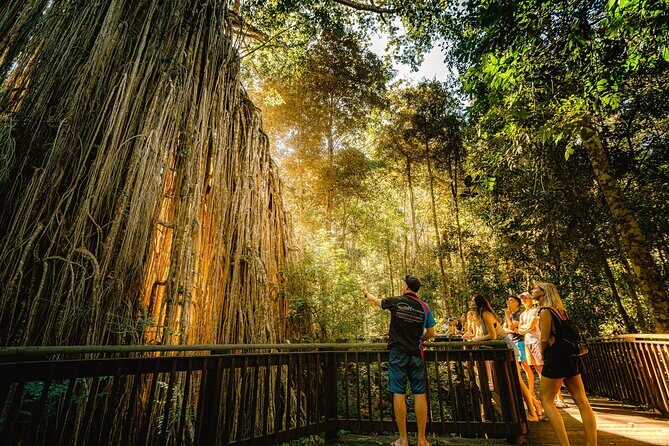 Private Waterfall and Rainforest Day Tour - FAQ