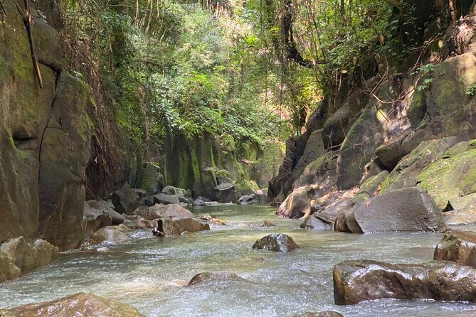 Private Waterfall Tour and Blue Lagoon Snorkeling in Padang Bai - Why This Tour Gets Rave Reviews