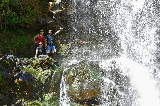 Private Waterfalls Hike and Swim in Lihue - The Setting: Kauai’s Lush Wilderness