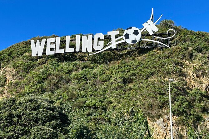 Private Wellington City Highlight Tour - Practicalities and Considerations