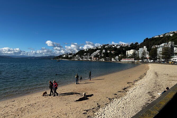Private Wellington City Highlight Tour - Who Should Consider This Tour?