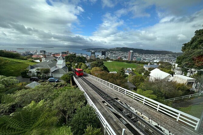 Private Wellington City Highlight Tour - Frequently Asked Questions